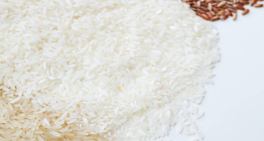 6 Manfaat Beras Organik untuk Pendukung Kesehatan Tubu
