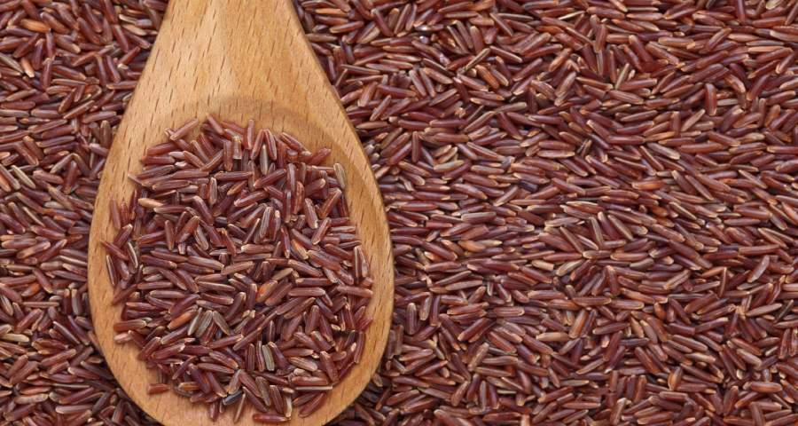 Kandungan Beras Merah yang Baik untuk Tubuh - Beras Anak Raja