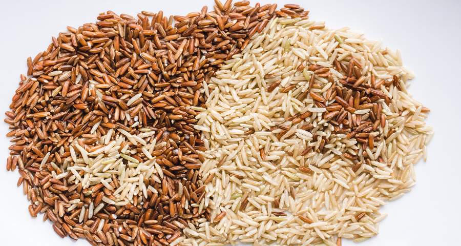 Manfaat Nasi Merah Bagi Kesehatan Tubuh - Beras Anak Raja